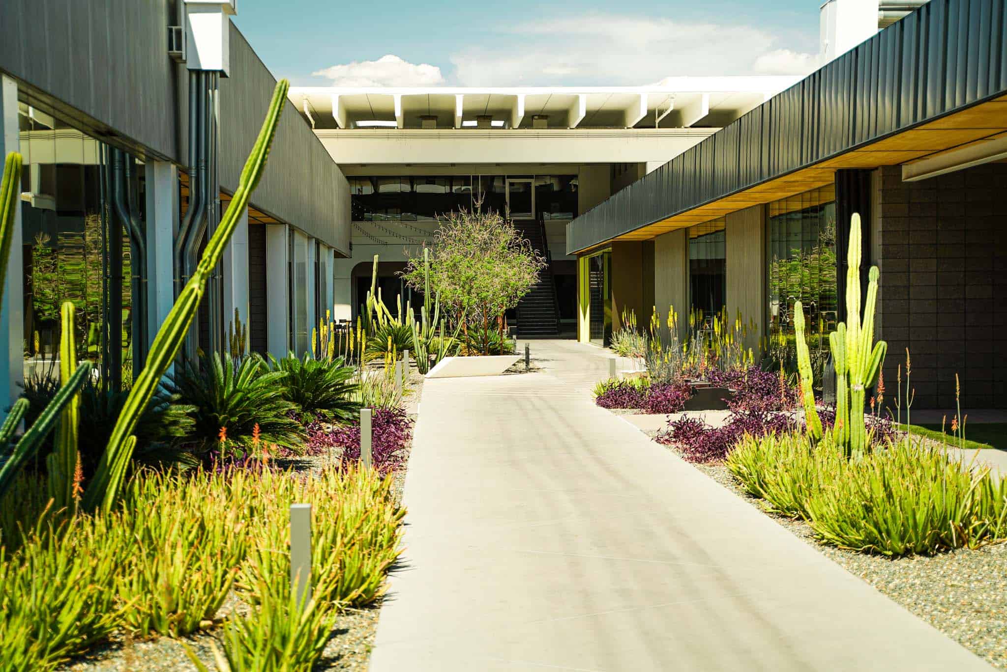 Adaptive Reuse in Commercial Real Estate Projects - Plaza Companies
